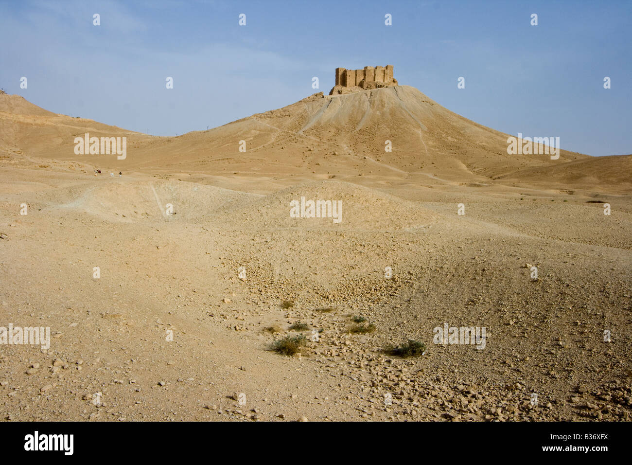 Arab Castle Qalaat Ibn Maan in Palmyra Syria Stock Photo - Alamy
