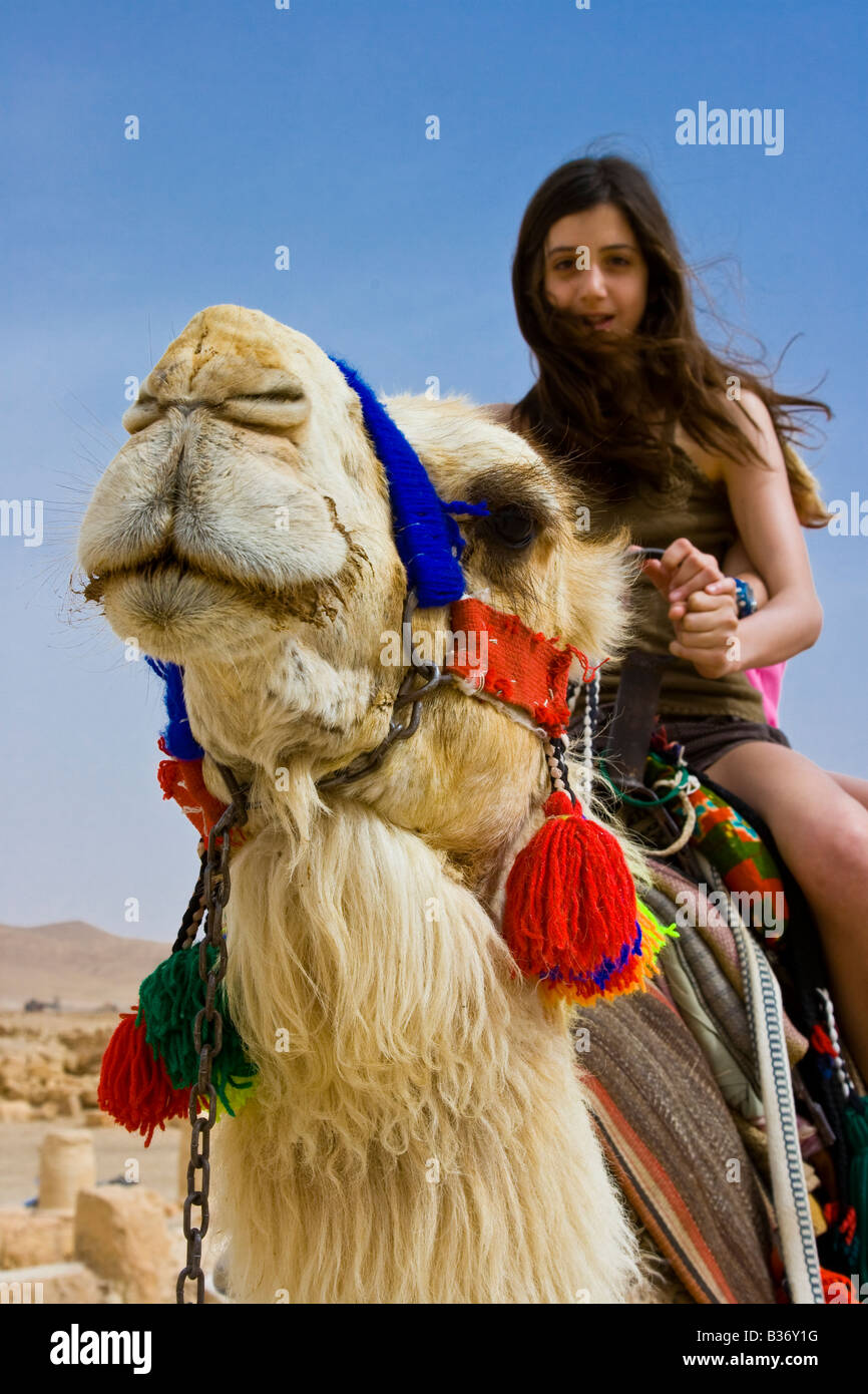 Tourist Camel Ride at the Roman Ruins of Palmyra in Syria Stock Photo ...