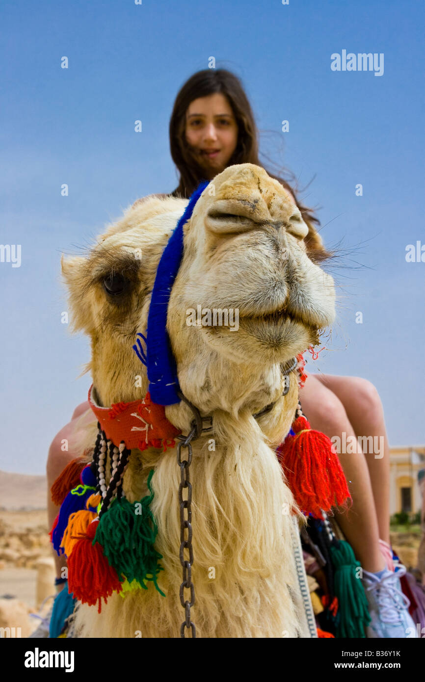 Tourist Camel Ride at the Roman Ruins of Palmyra in Syria Stock Photo ...