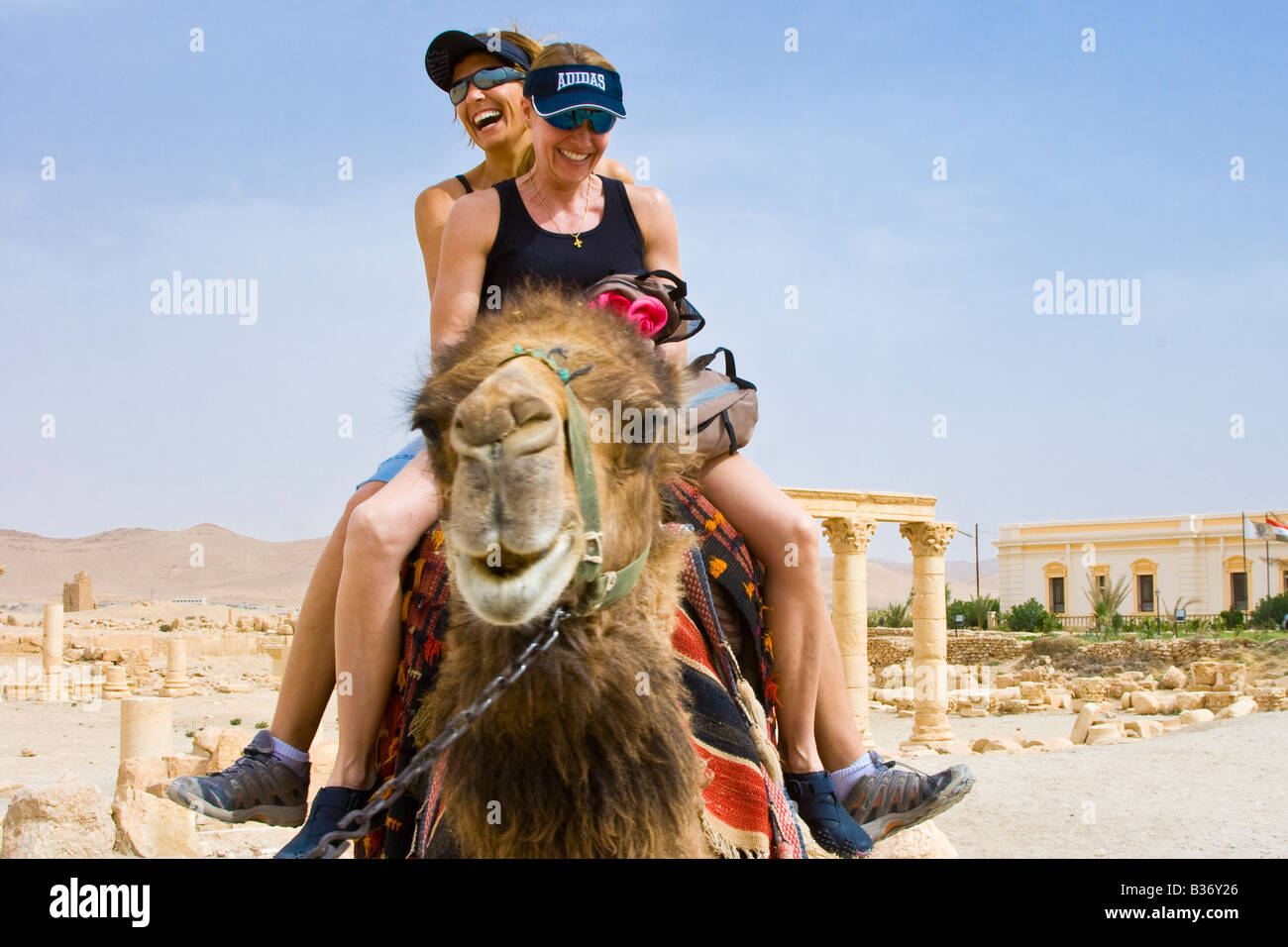 Tourist Camel Ride at the Roman Ruins of Palmyra in Syria Stock Photo ...