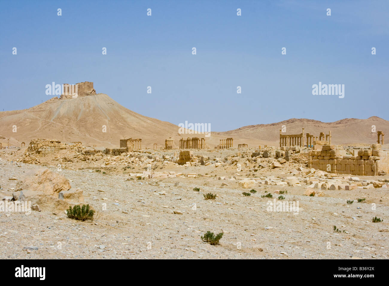 Roman Columnade and Arab Castle Qalaat Ibn Maan in Palmyra Syria Stock ...