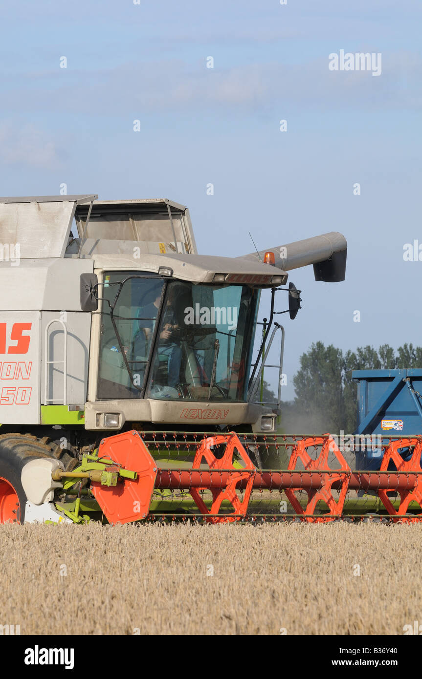 Claas Lexion 450 Combine Harvester cutting wheat in kent england with ...