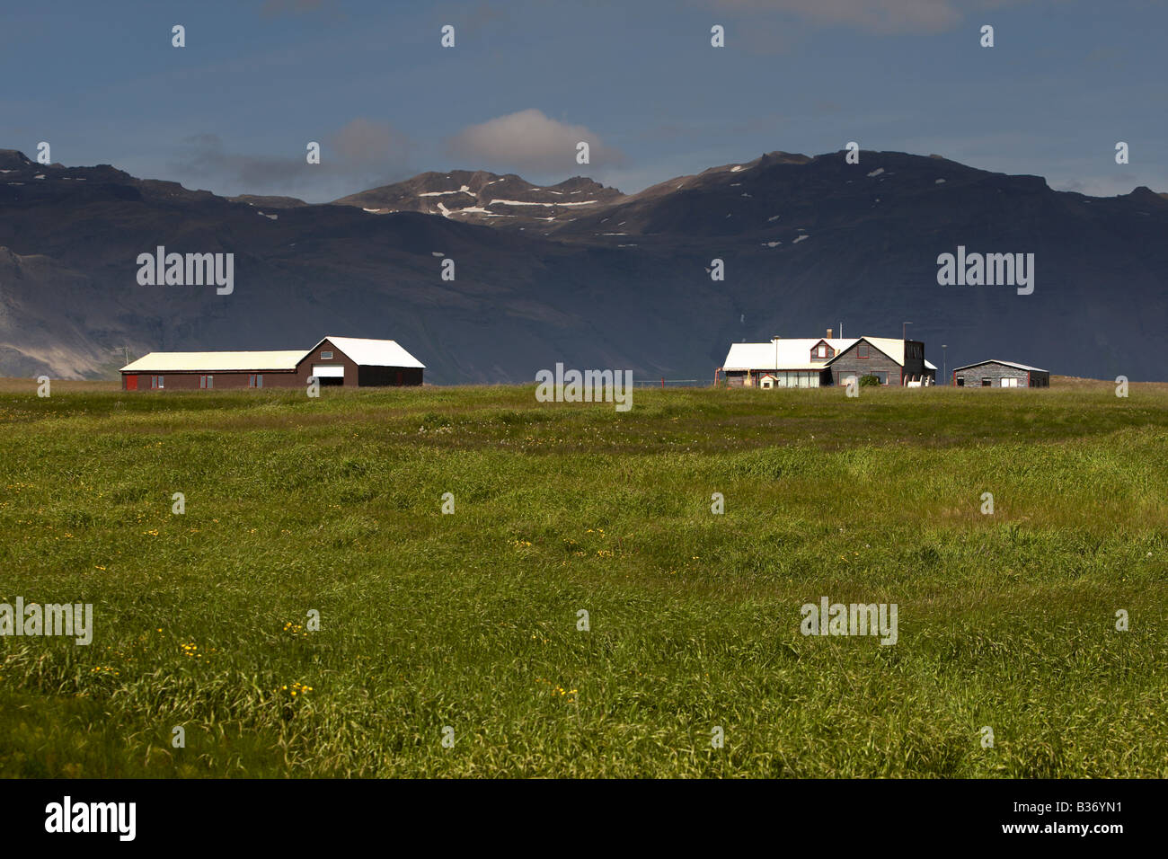 The fam Ytri Tunga in Snaefellsnes Iceland Stock Photo - Alamy
