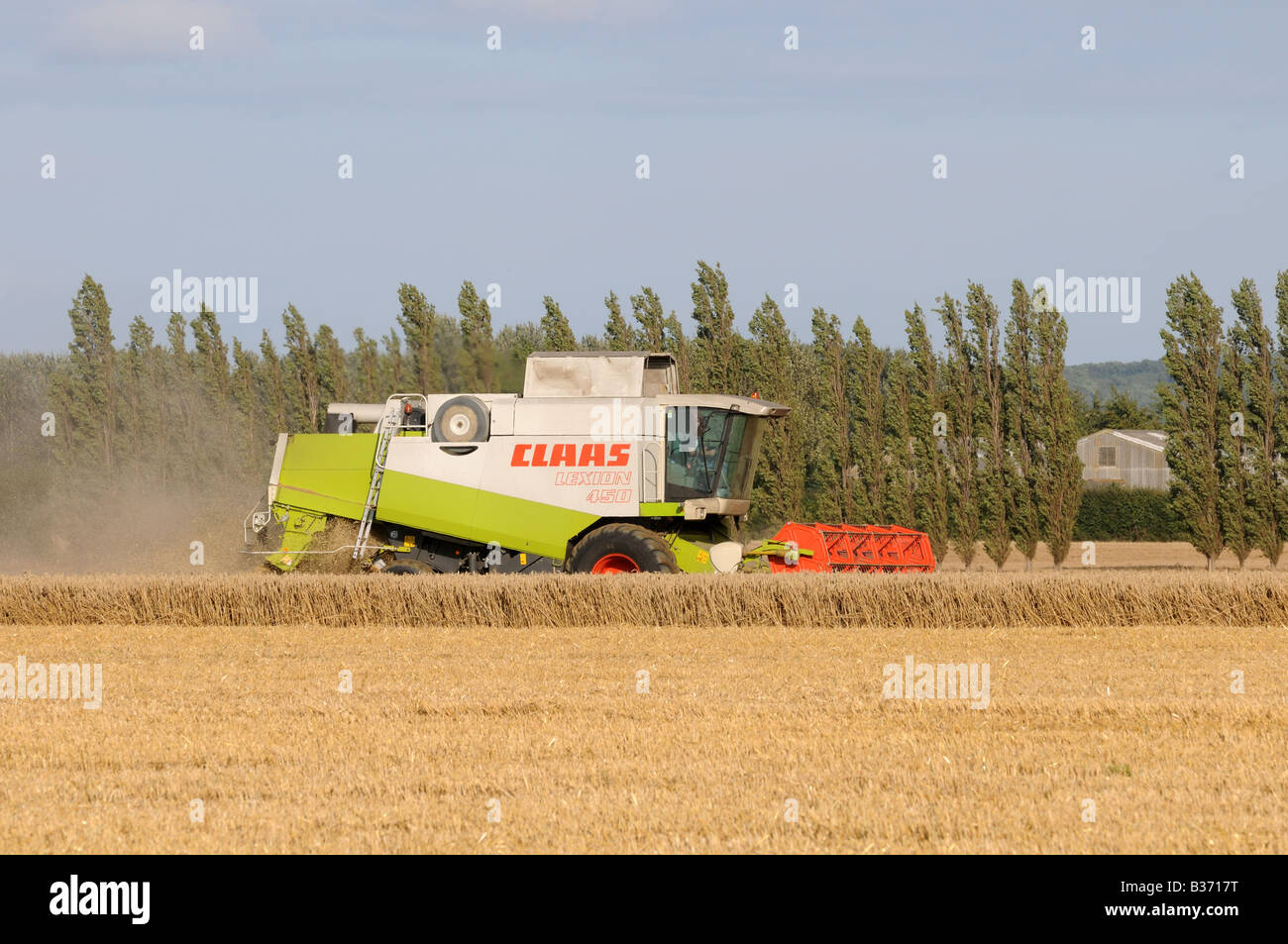 Claas Lexion 450 Combine Harvester cutting wheat in kent england Stock ...
