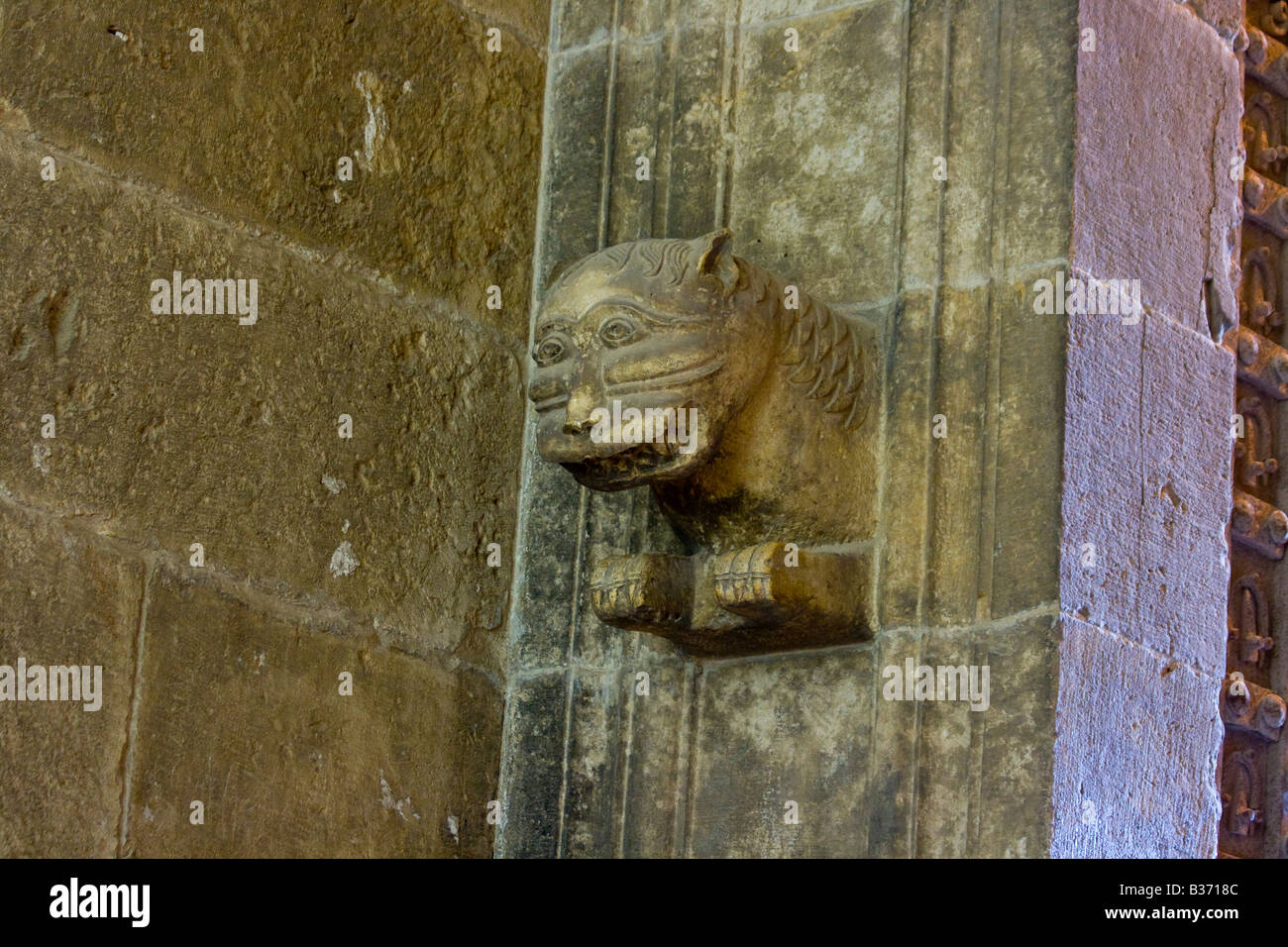 Lion inside hi-res stock photography and images - Alamy