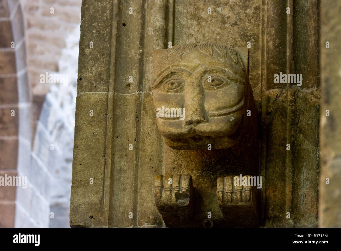 Lion inside hi-res stock photography and images - Alamy