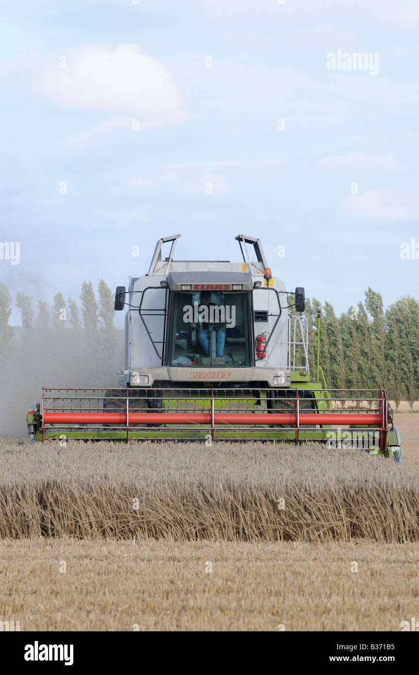 Claas Lexion 450 Combine Harvester cutting wheat in kent england Stock ...