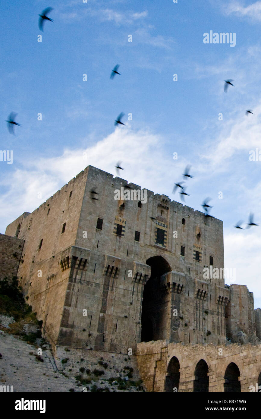 The Citadel in Aleppo Syria Stock Photo - Alamy