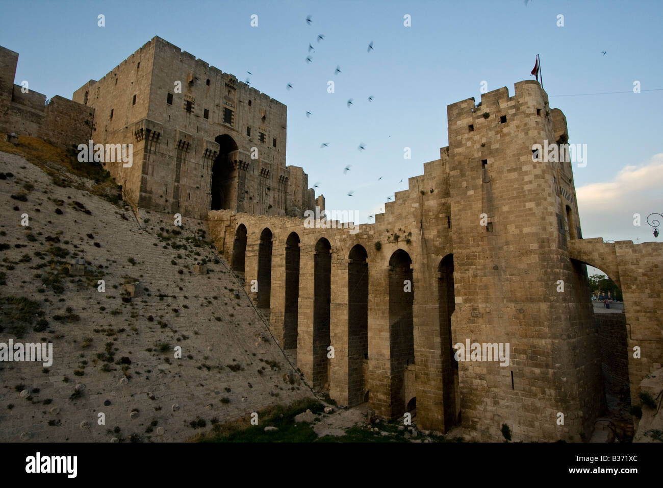 Birds Over the Citadel in Aleppo Syria Stock Photo - Alamy