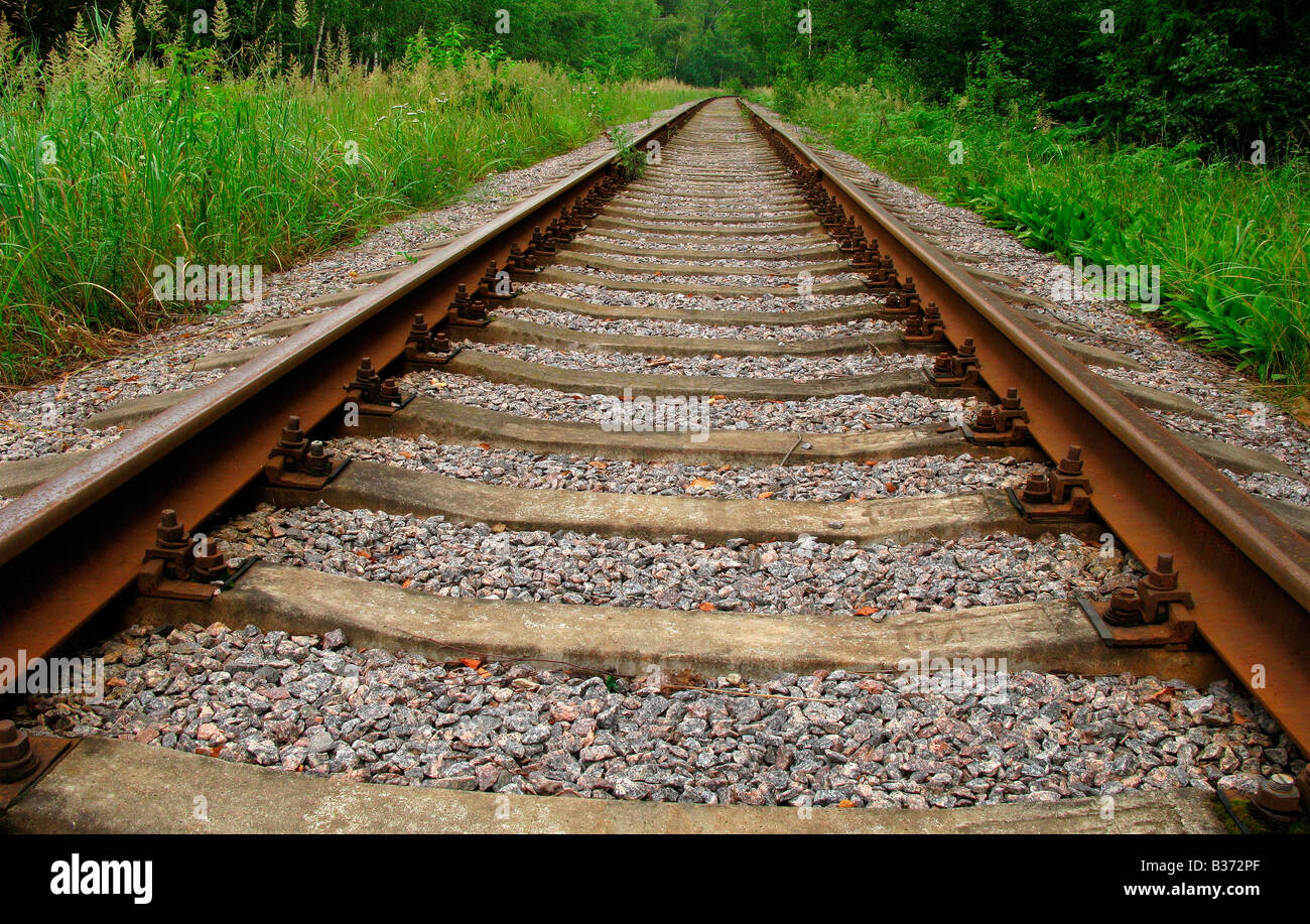 Old Railway track in woods, Moscow region, Russia Stock Photo - Alamy
