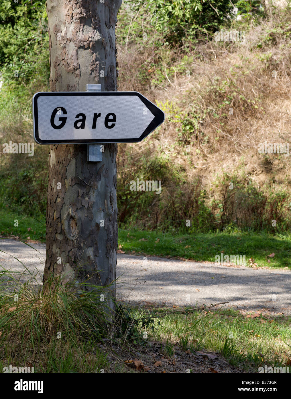 a road-sign on a tree Stock Photo - Alamy