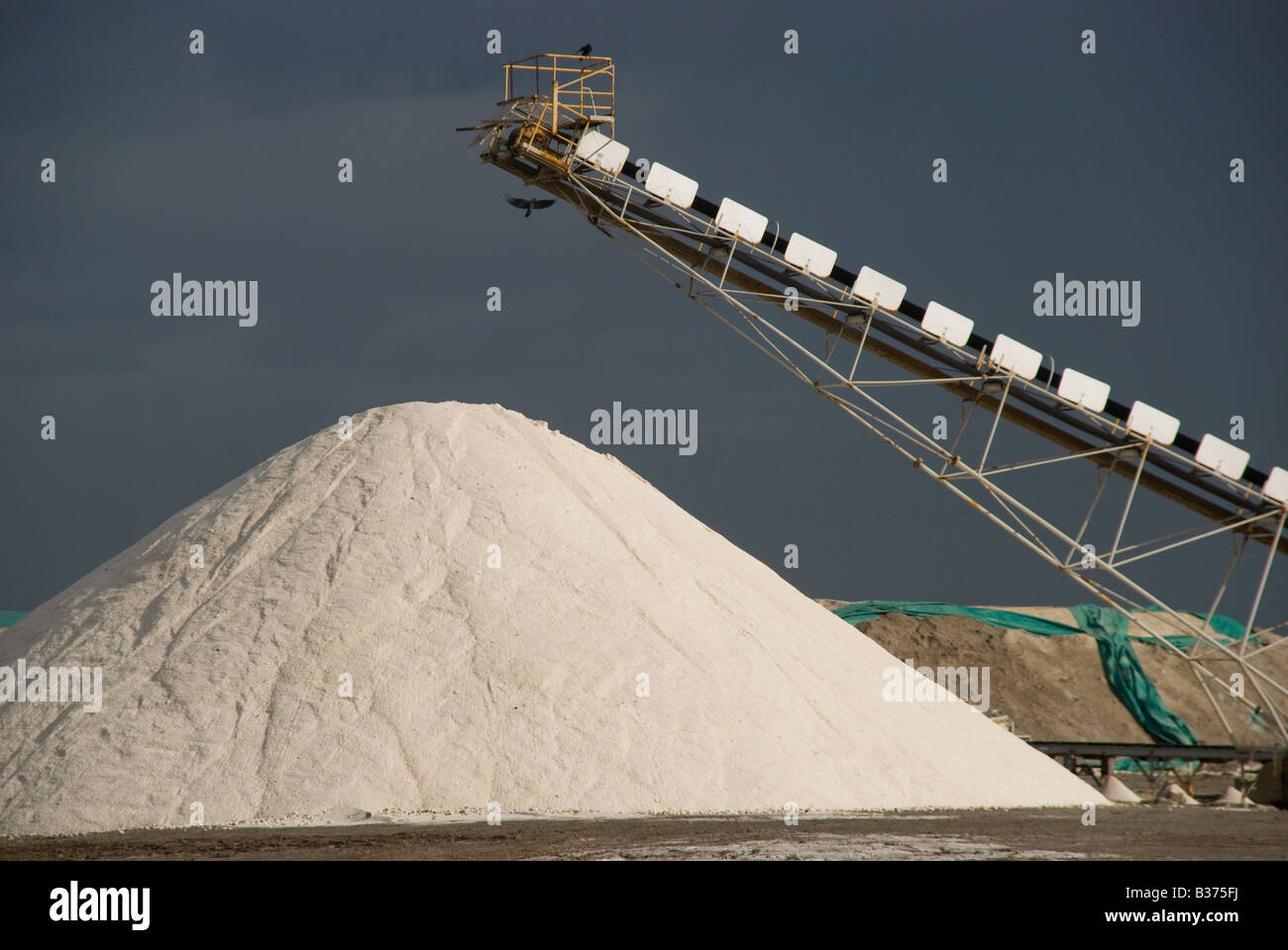 Cheetham salt hi-res stock photography and images - Alamy