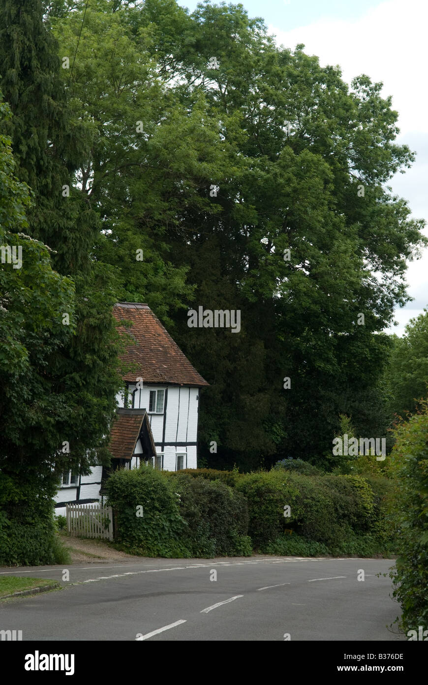 Amongst trees hi-res stock photography and images - Alamy