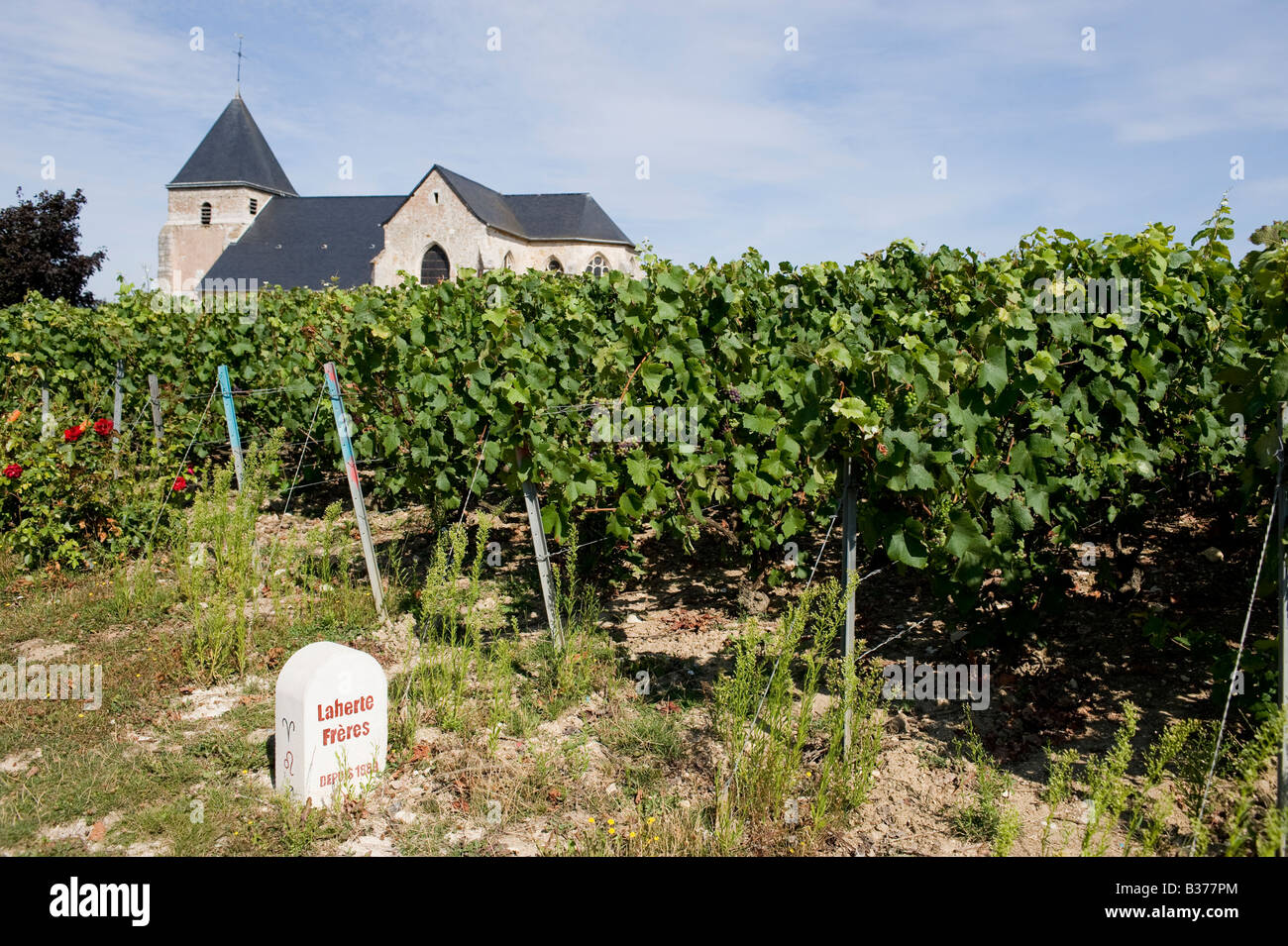 Champagne vineyard sign at chavot hi-res stock photography and images ...