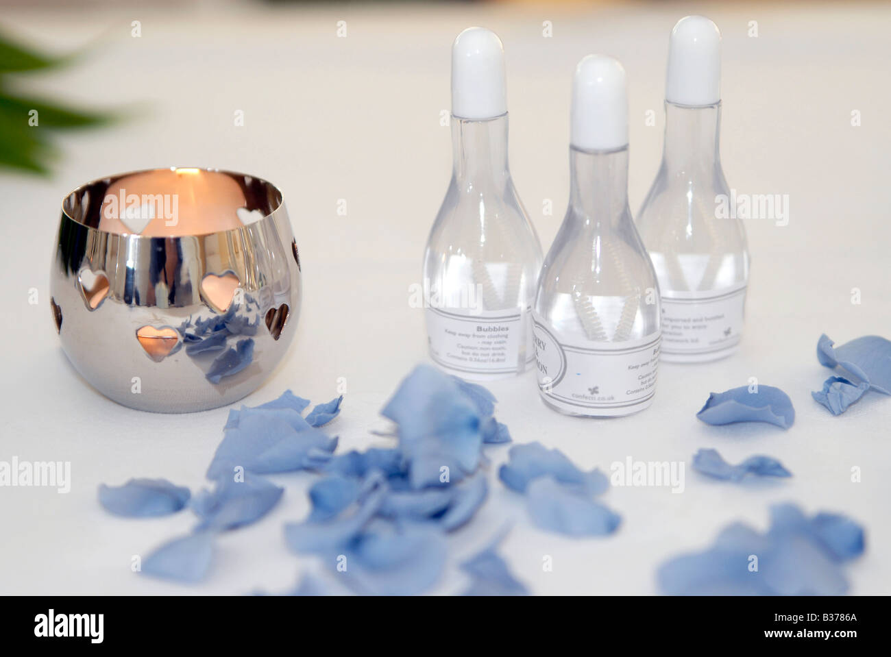 Three bottles of bubble mixture, shaped like champagne bottles, on a ...