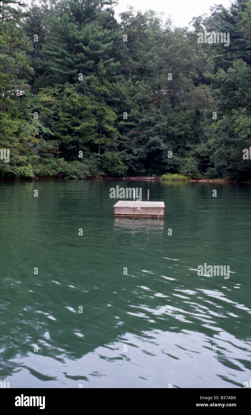 a wood raft with ladder floating on a pure green lake Stock Photo - Alamy