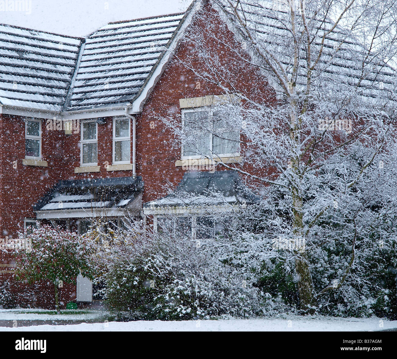Winter, snowing, red house, trees, covered with snow Stock Photo - Alamy