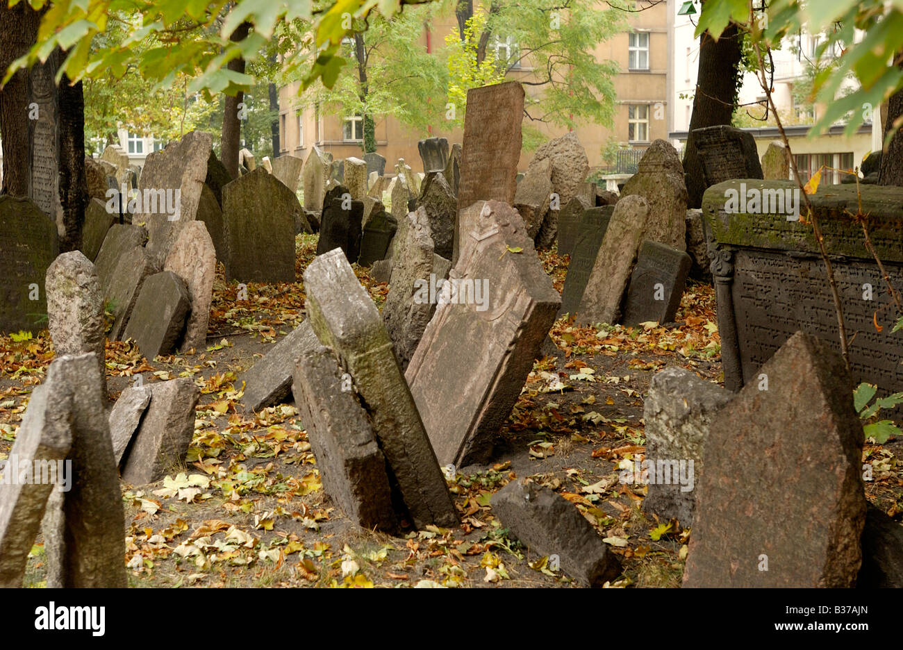 Jewish graveyard gravestones on Judaic Cemetery, Prague, Czech Republic ...