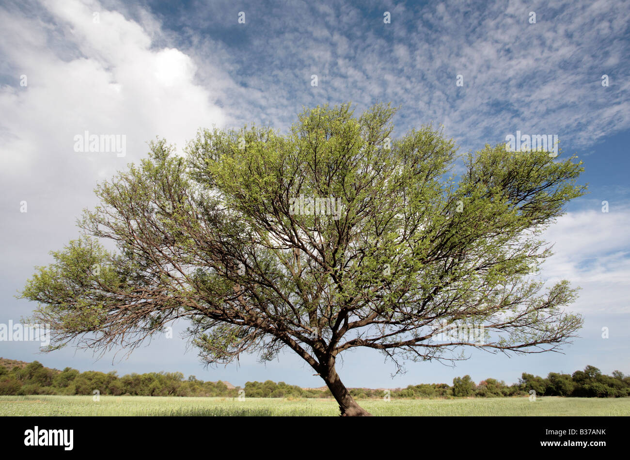 One world blue sky hi-res stock photography and images - Alamy