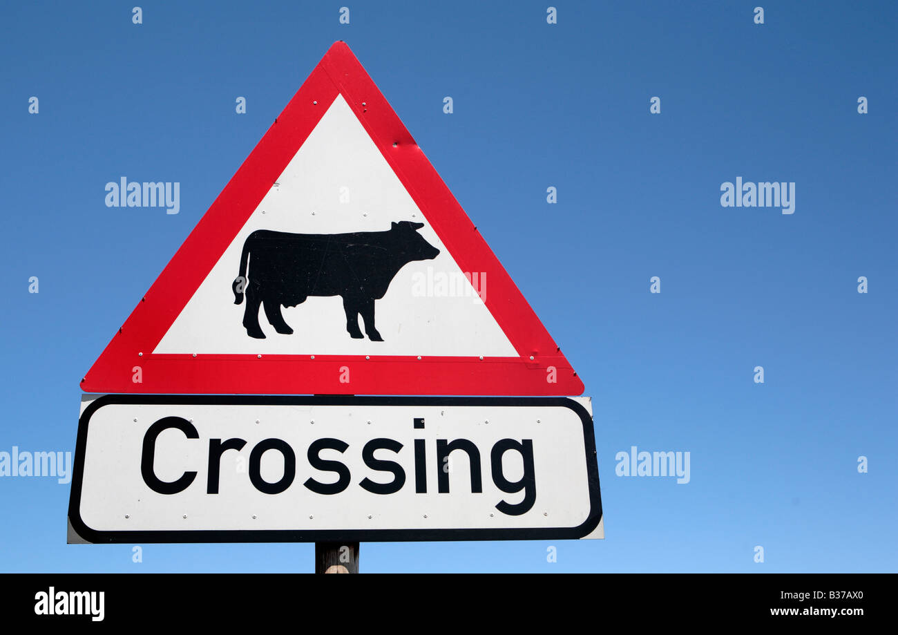 Cow warning sign hi-res stock photography and images - Alamy