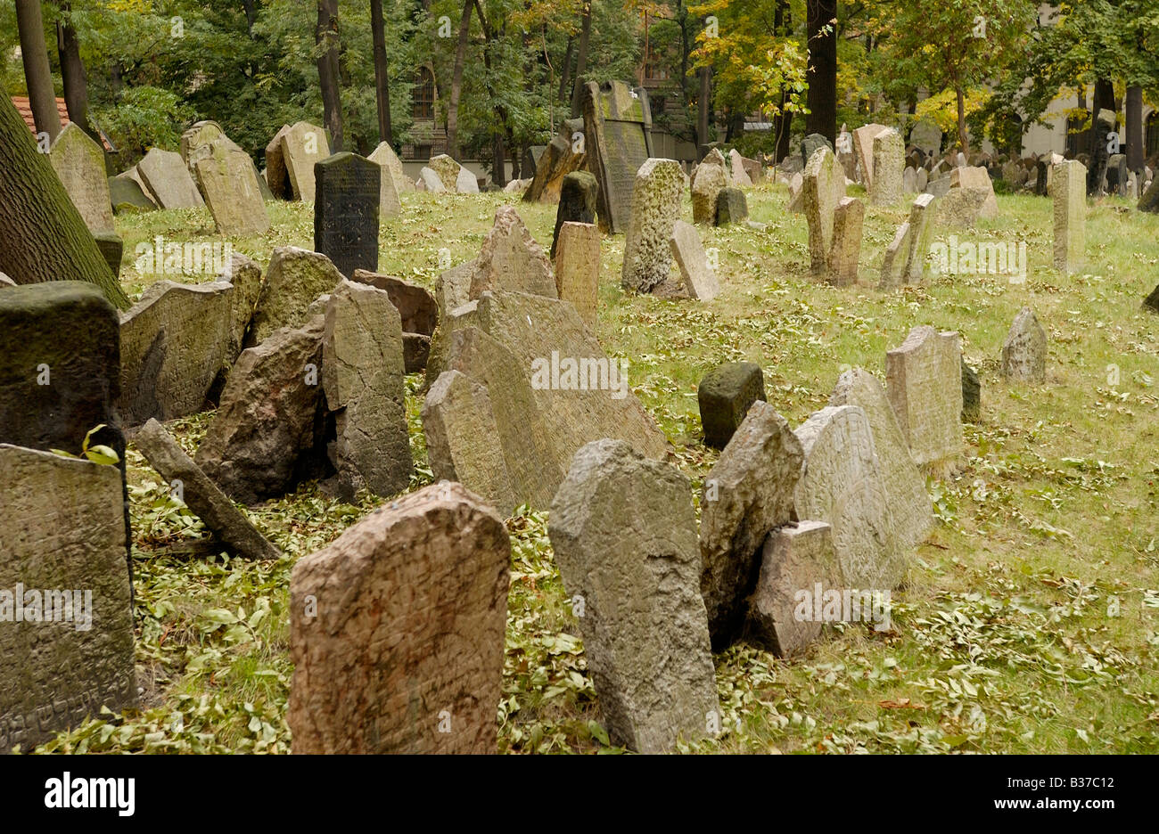 Jewish graveyard gravestones on Judaic Cemetery, Prague, Czech Republic ...