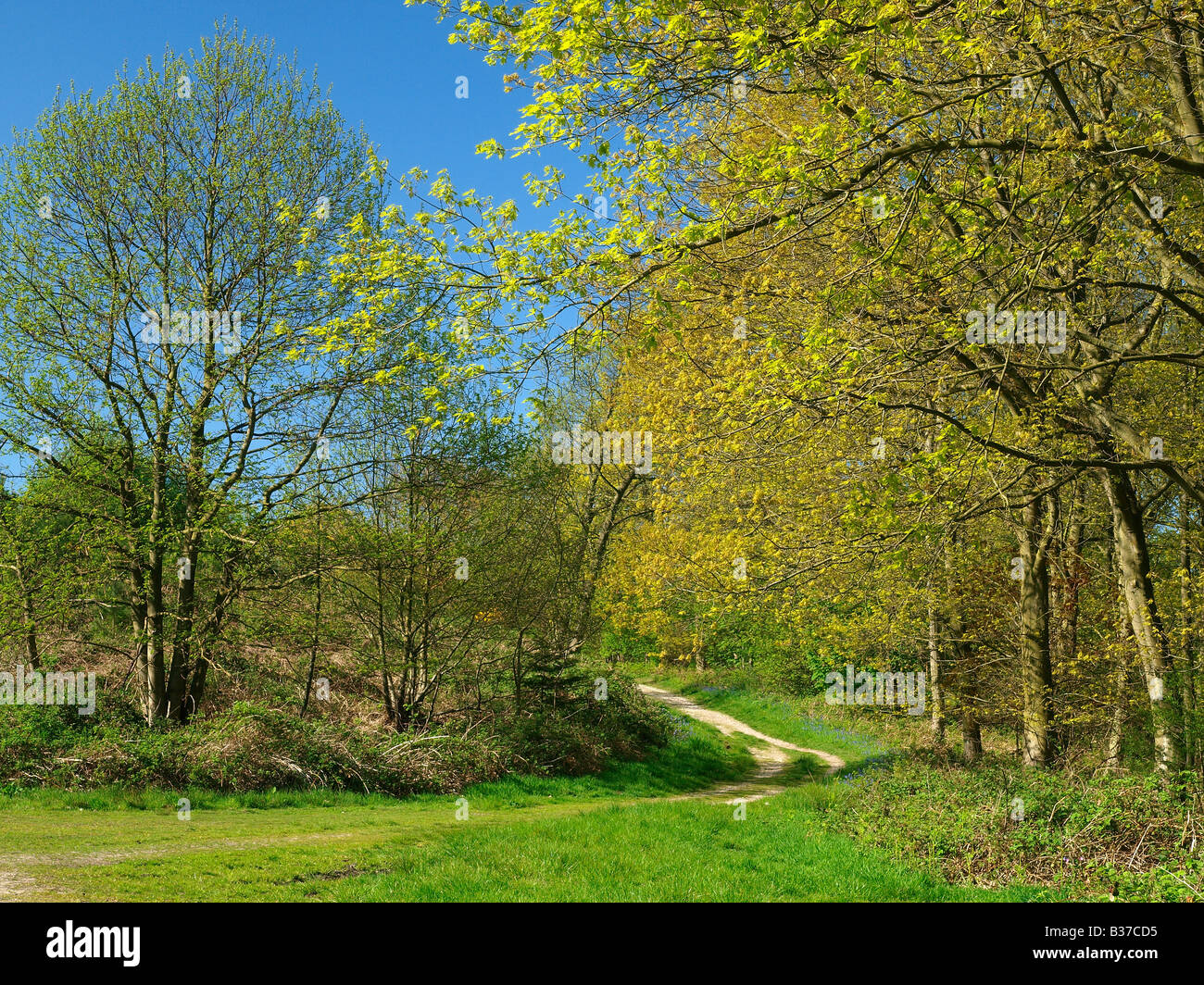 Sheringham Park Norfolk High Resolution Stock Photography and Images ...
