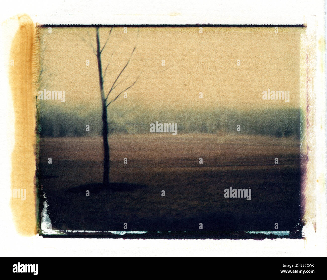 Bleak Landscape With Tree High Resolution Stock Photography and Images ...
