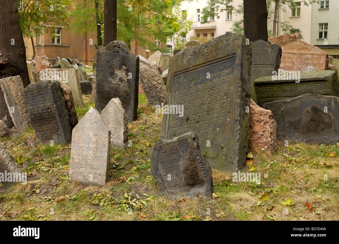 Jewish graveyard gravestones on Judaic Cemetery, Prague, Czech Republic ...