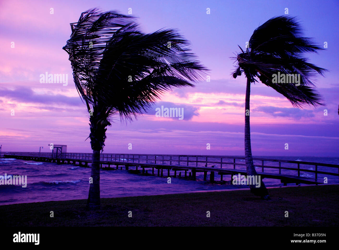 Winds rain tropical storm hurricane hi-res stock photography and images ...