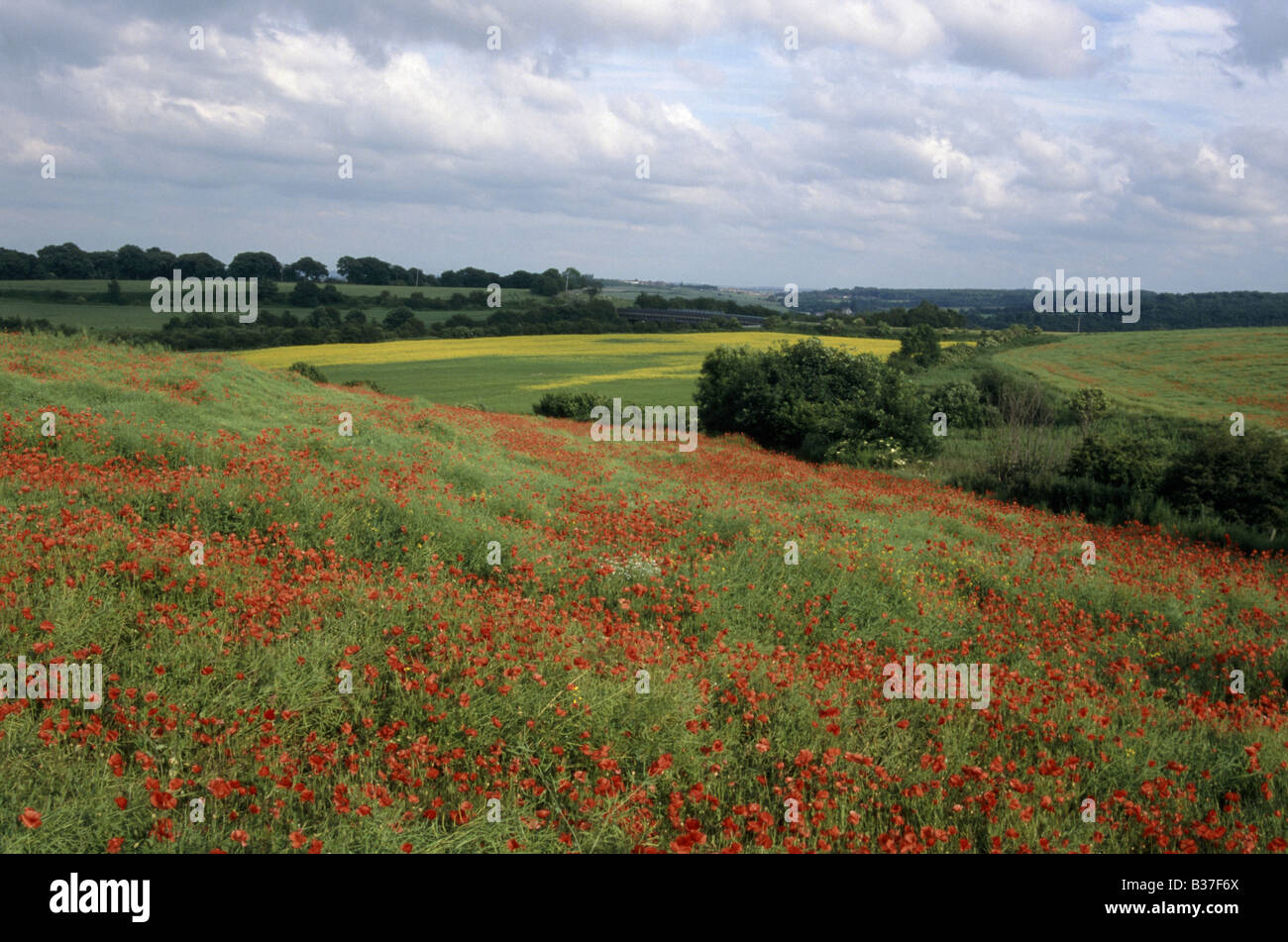 Worsbrough High Resolution Stock Photography and Images - Alamy