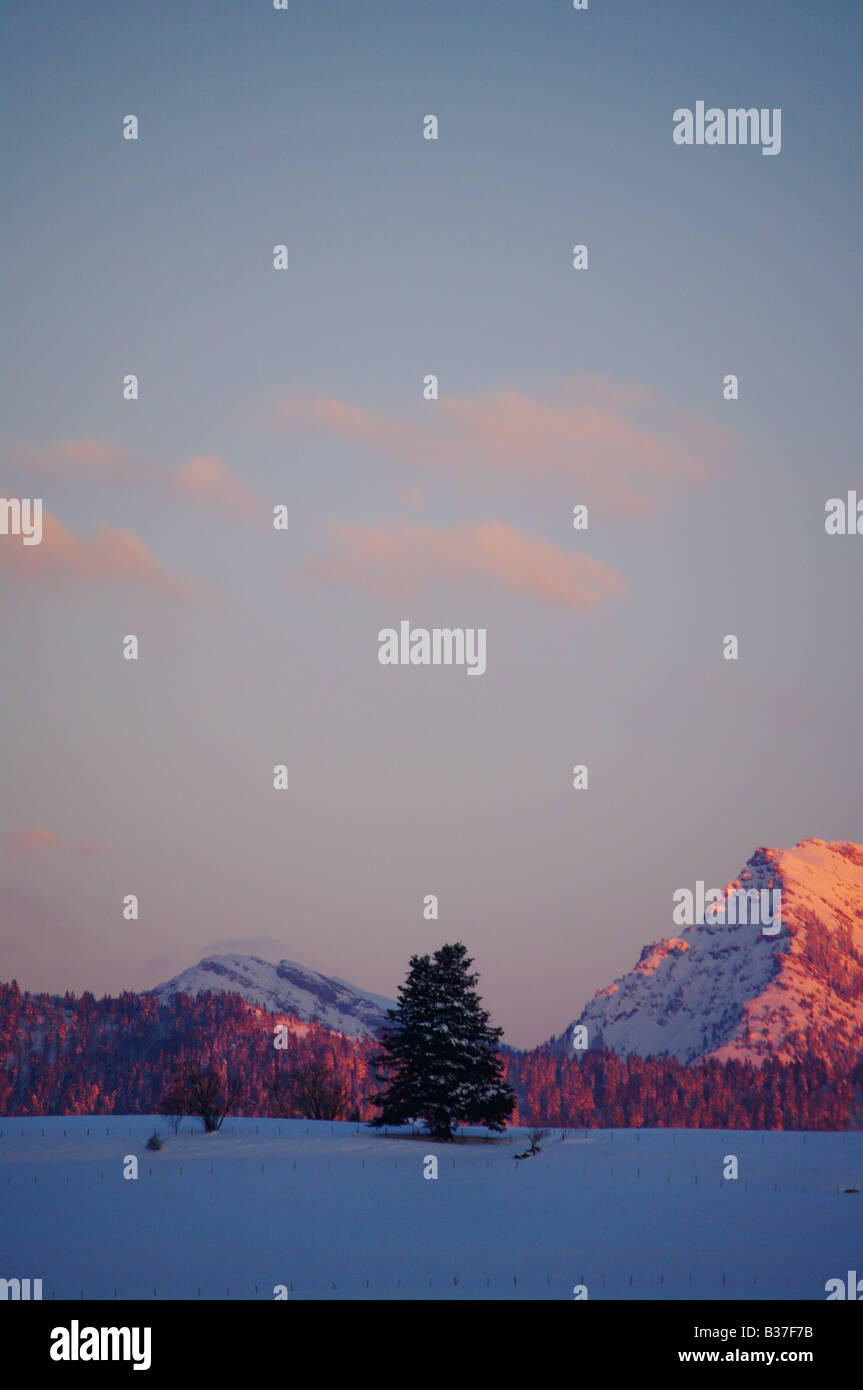 beautiful snowy winter landscape at Christmas time Stock Photo - Alamy