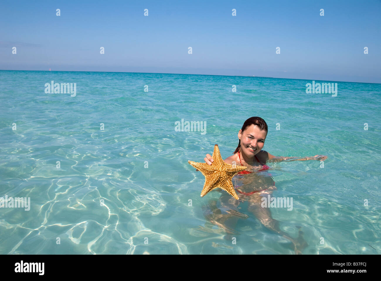 Seastar hi-res stock photography and images - Alamy
