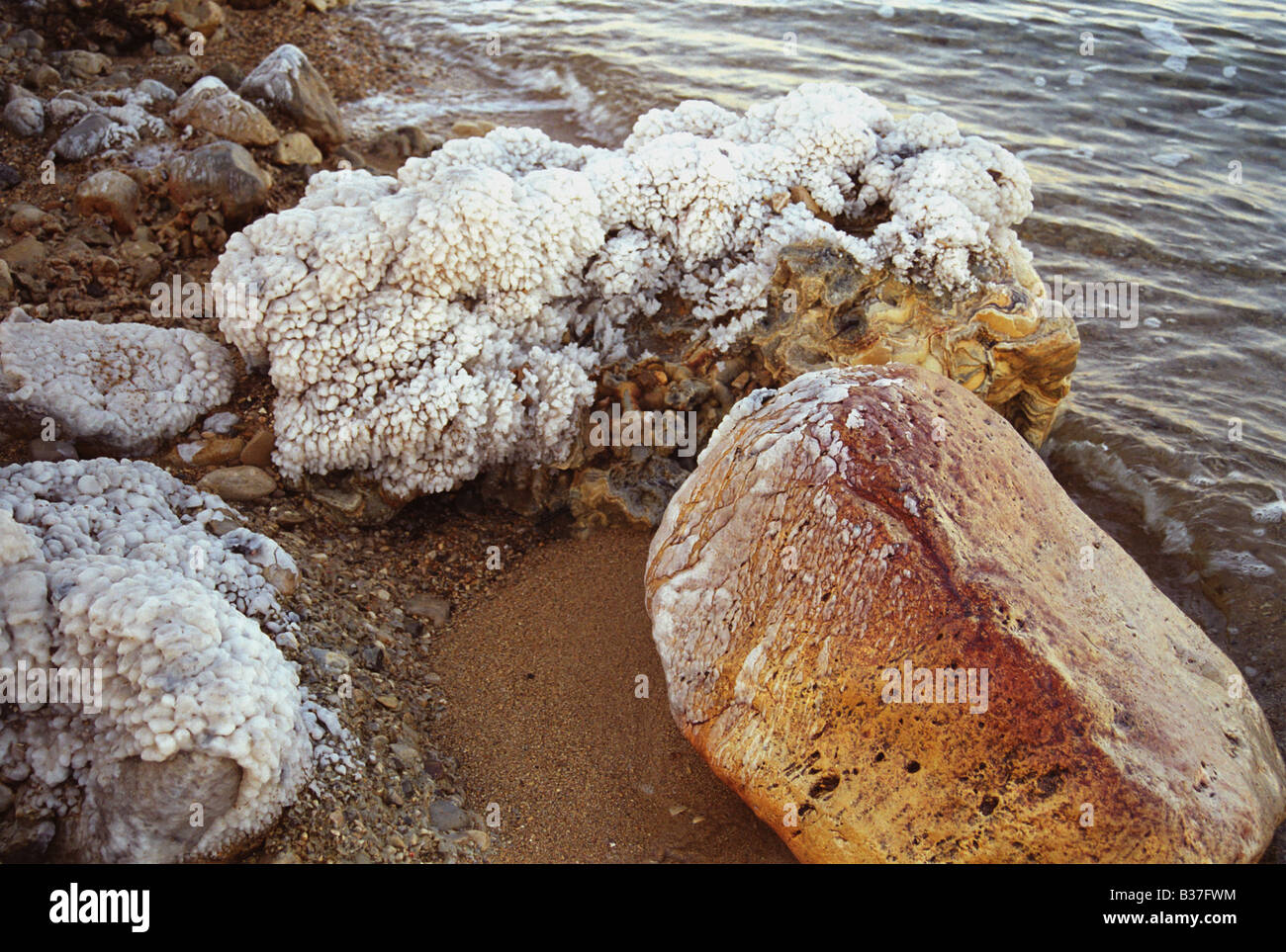 Large rocks covered with salt by the water of the Dead Sea in Israel ...