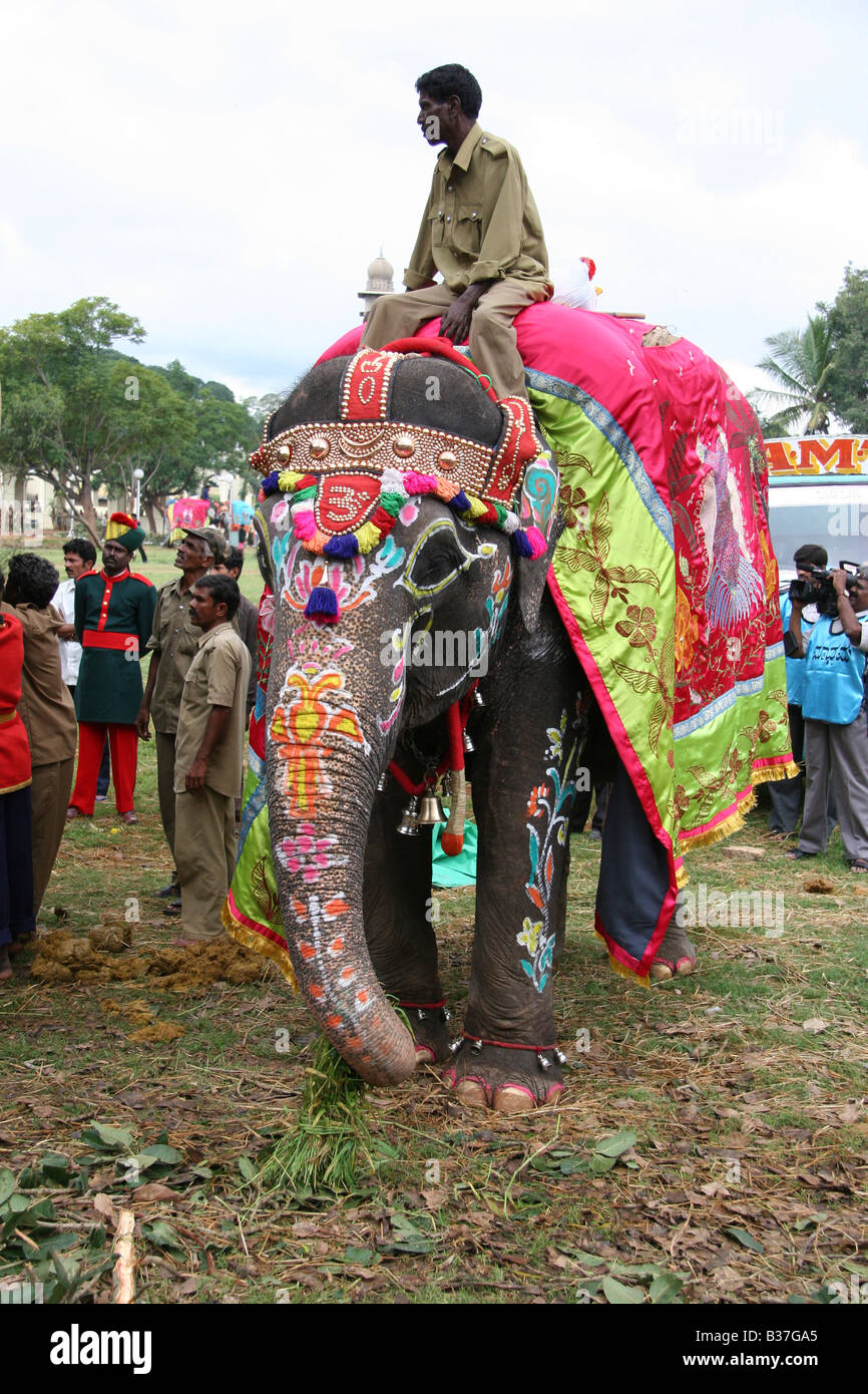 Mysore dasara elephant hi-res stock photography and images - Alamy