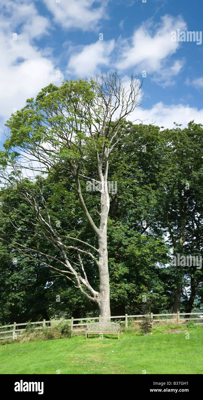 countryside beoley worcestershire midlands england uk Stock Photo - Alamy