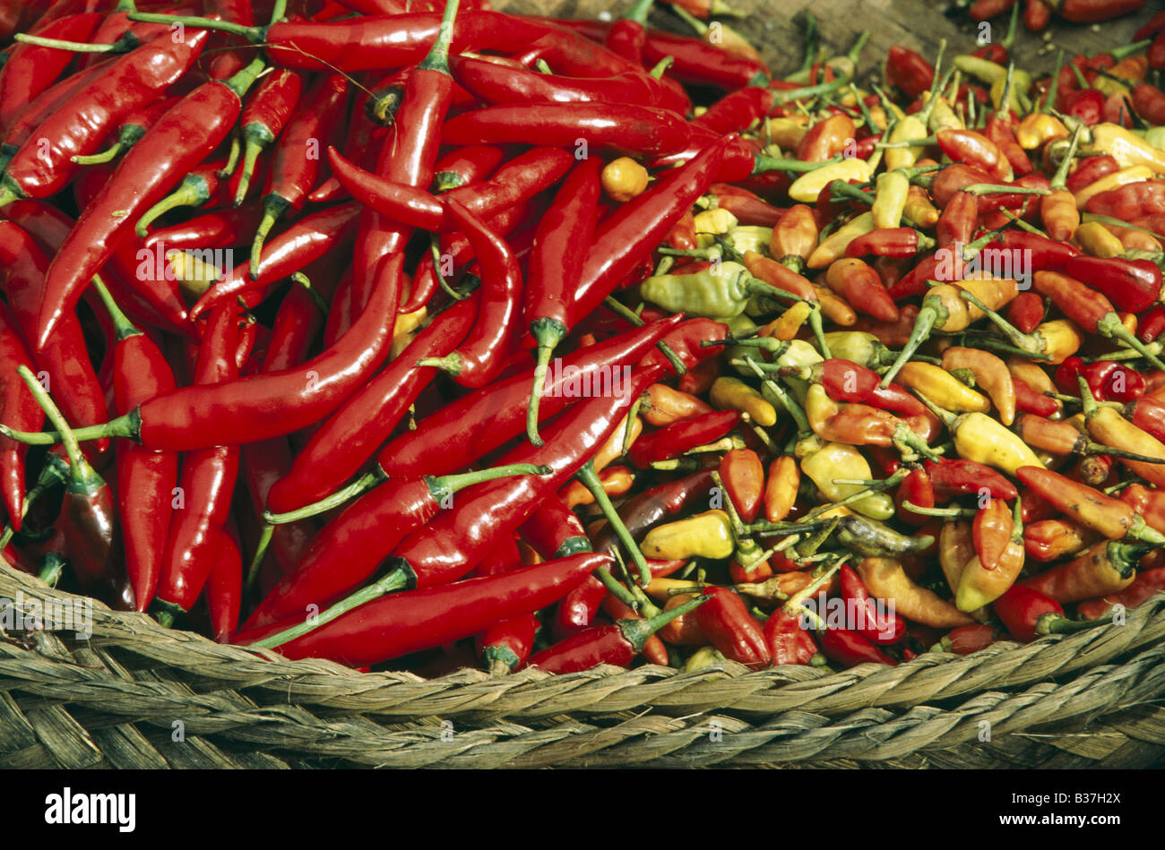 Market Vegetable stall Close up of chillies Bright red yellow and ...