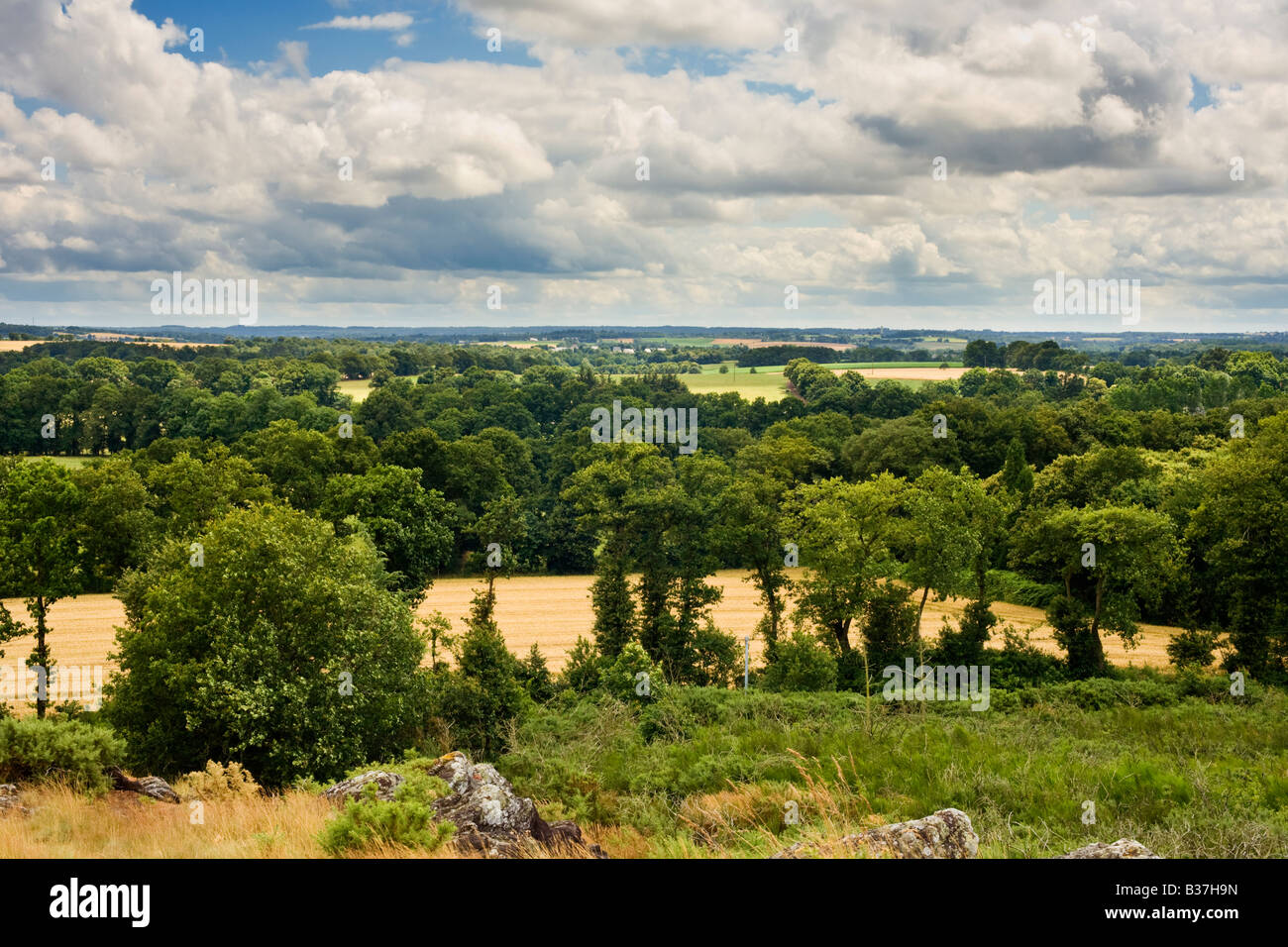 Morbihan countryside Brittany, France Stock Photo - Alamy