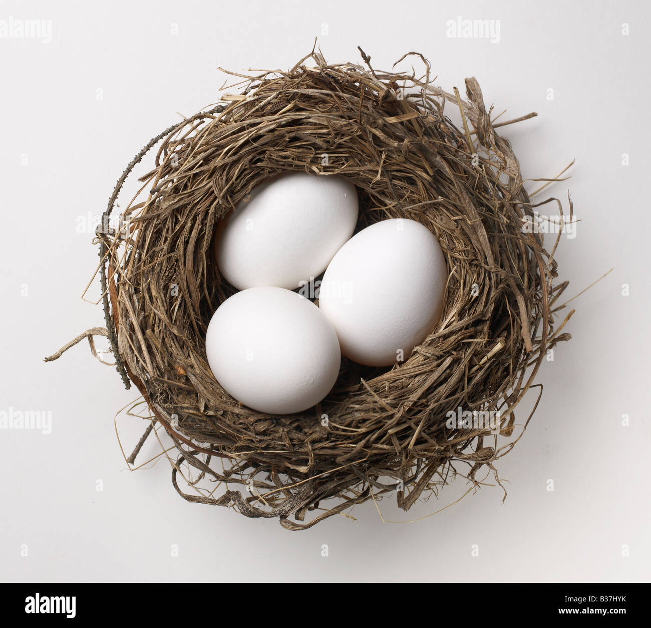 Nest with 3 eggs hi-res stock photography and images - Alamy