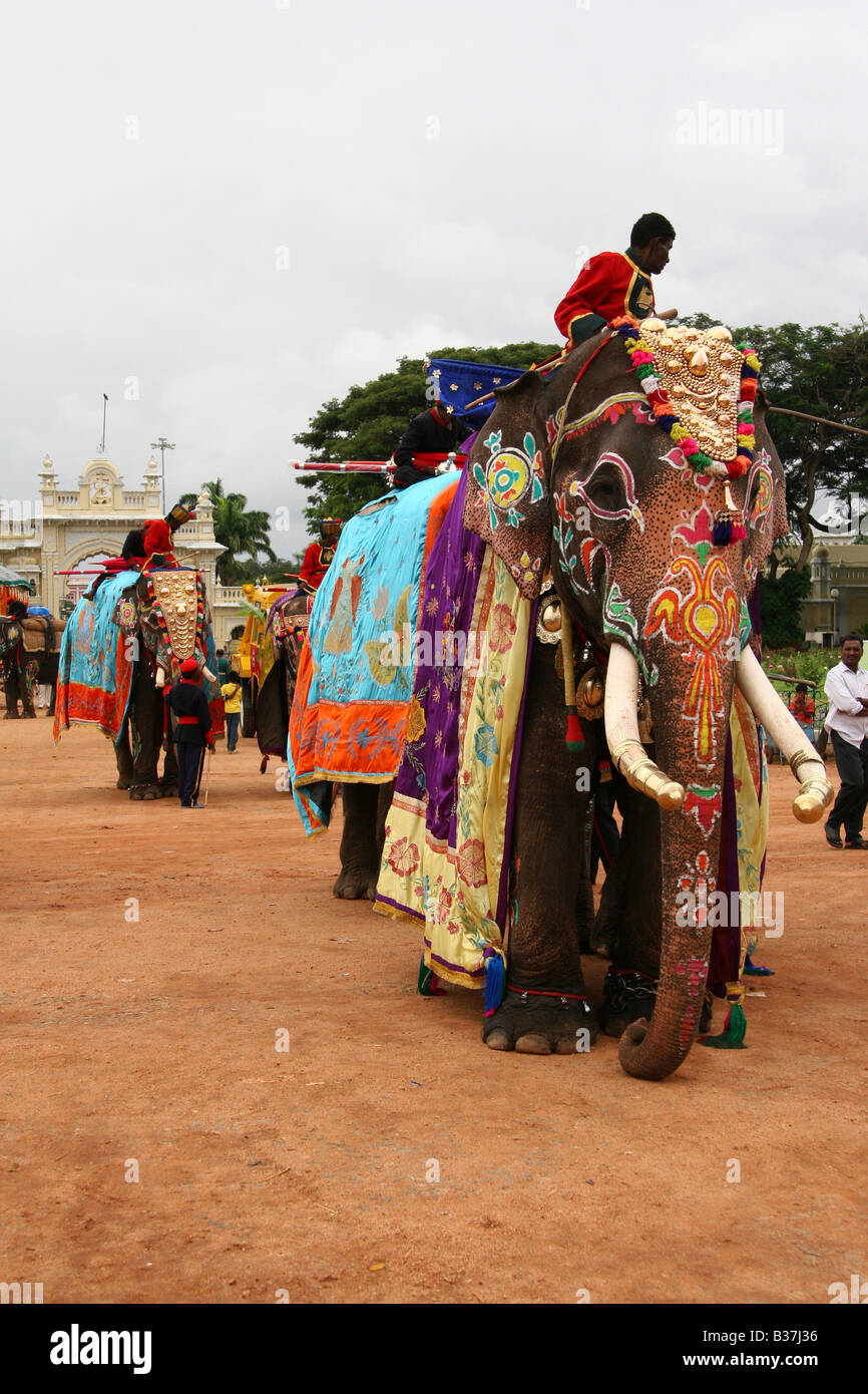 Mysore dasara elephant hi-res stock photography and images - Alamy