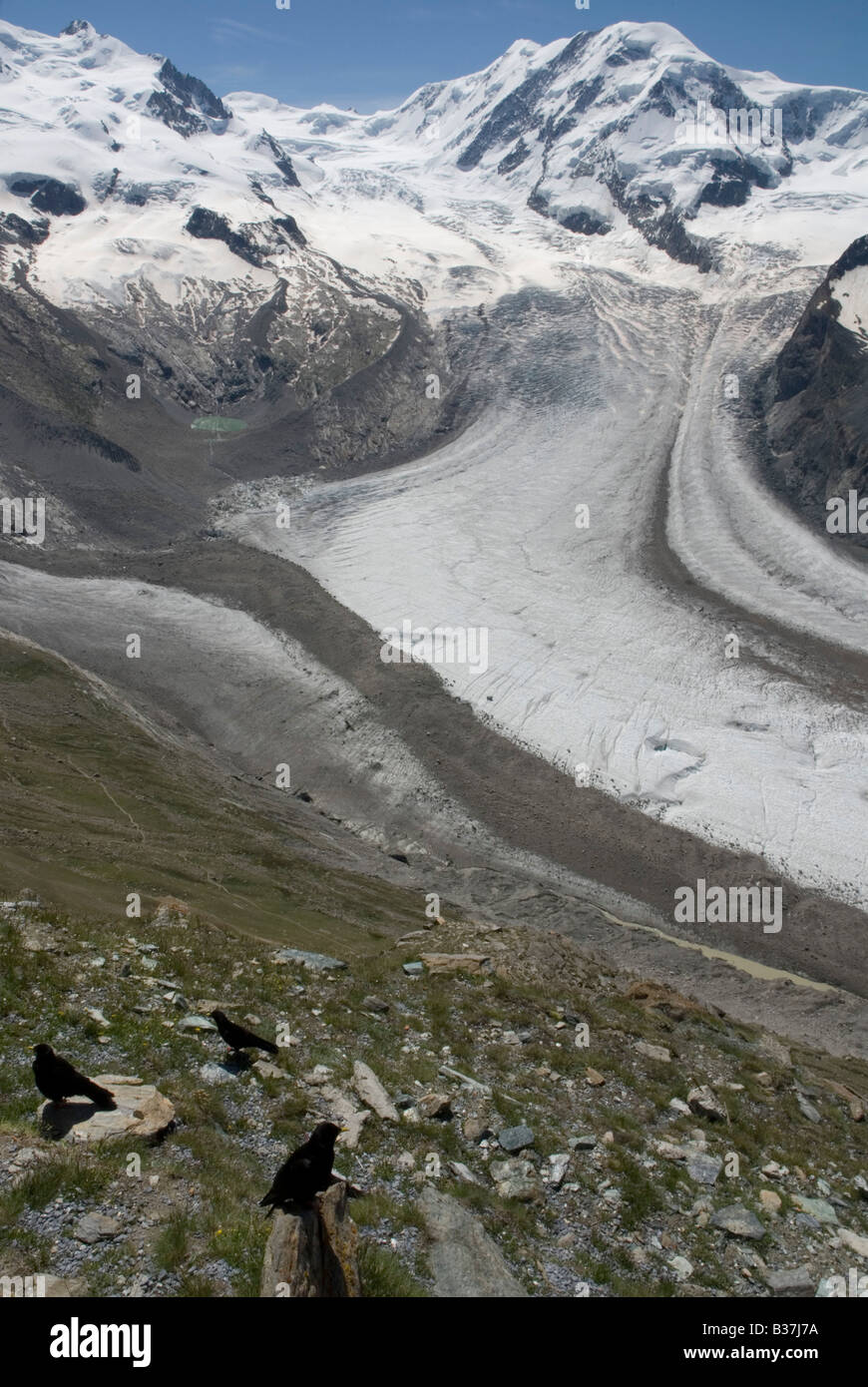 View looking south across the Gorner glacier from the Gornergrat (3089m ...