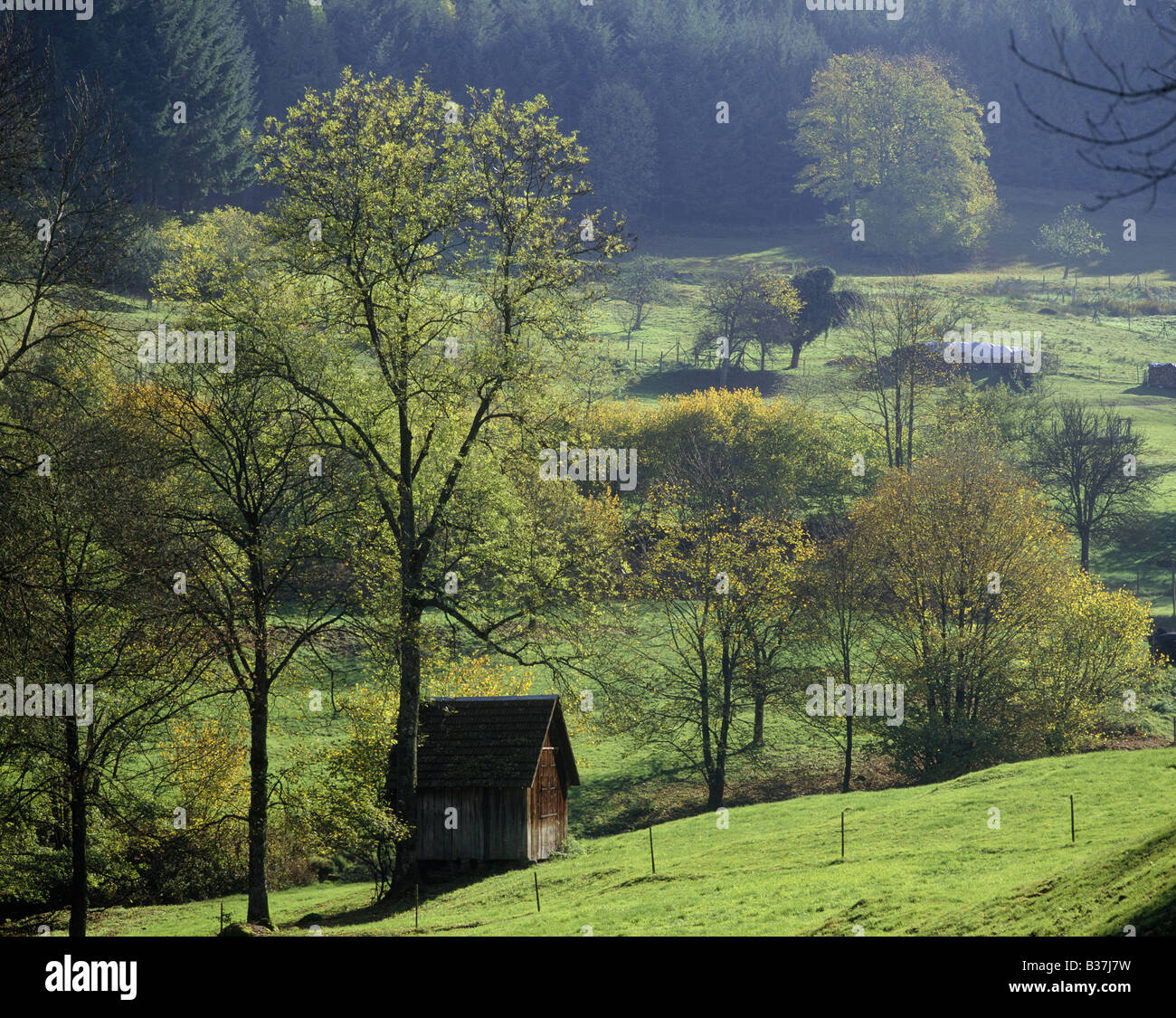 Secluded valley Wooden hut Trees Baden Wurrtemberg NEAR FORBACH BLACK ...