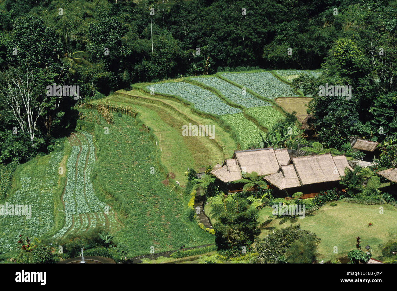Rice terraces Agricultural landscape Paddy fields on slopes Thatched ...