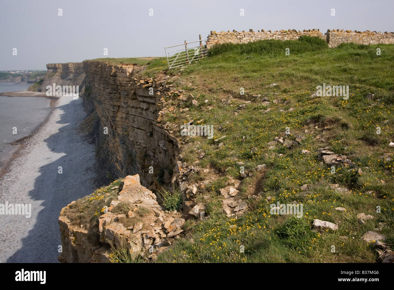 Steep limestone cliffs Coastal path Heritage Coast Southerndown Vale of ...