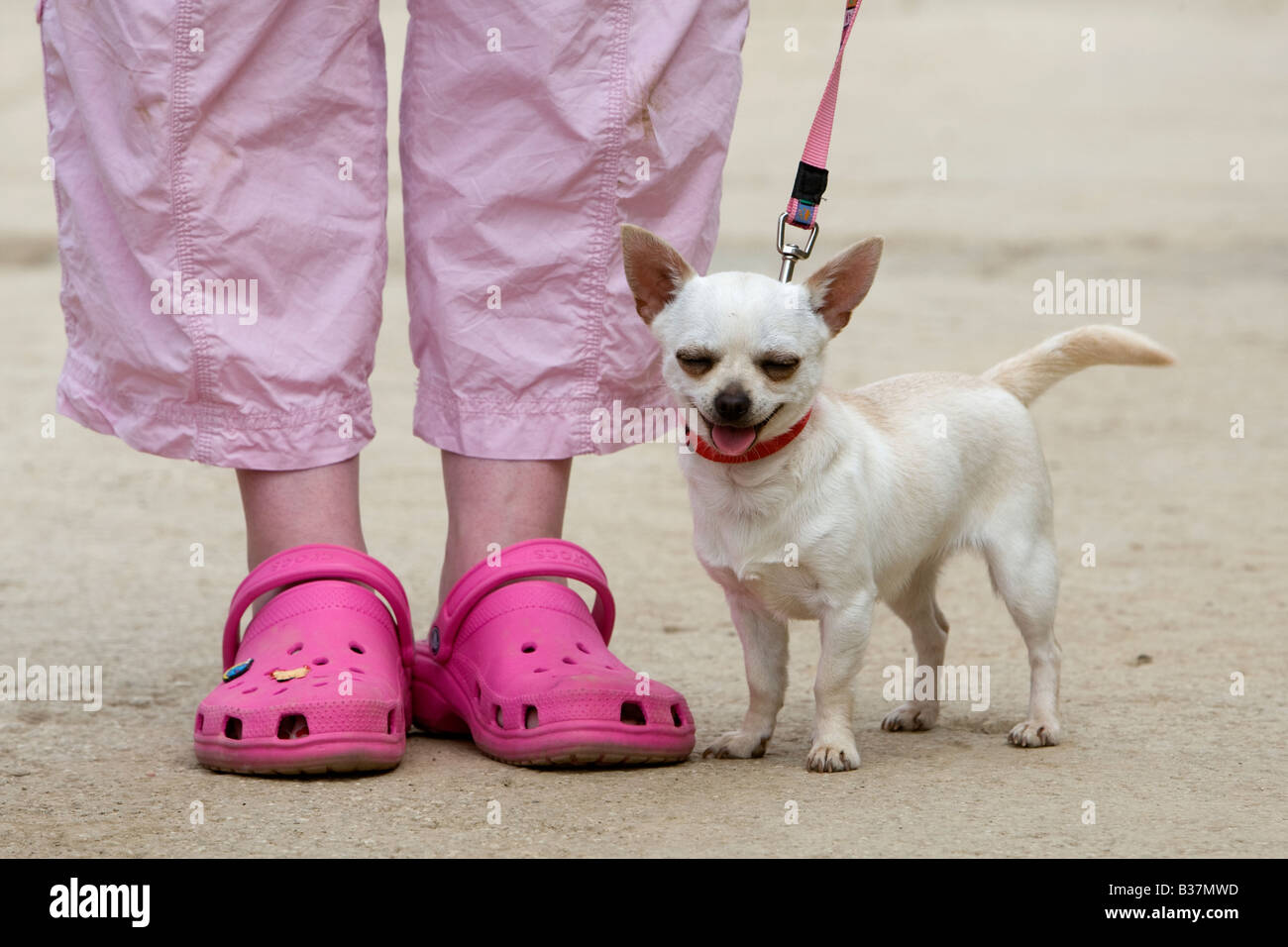 Wearing crocs hi-res stock photography and images - Alamy