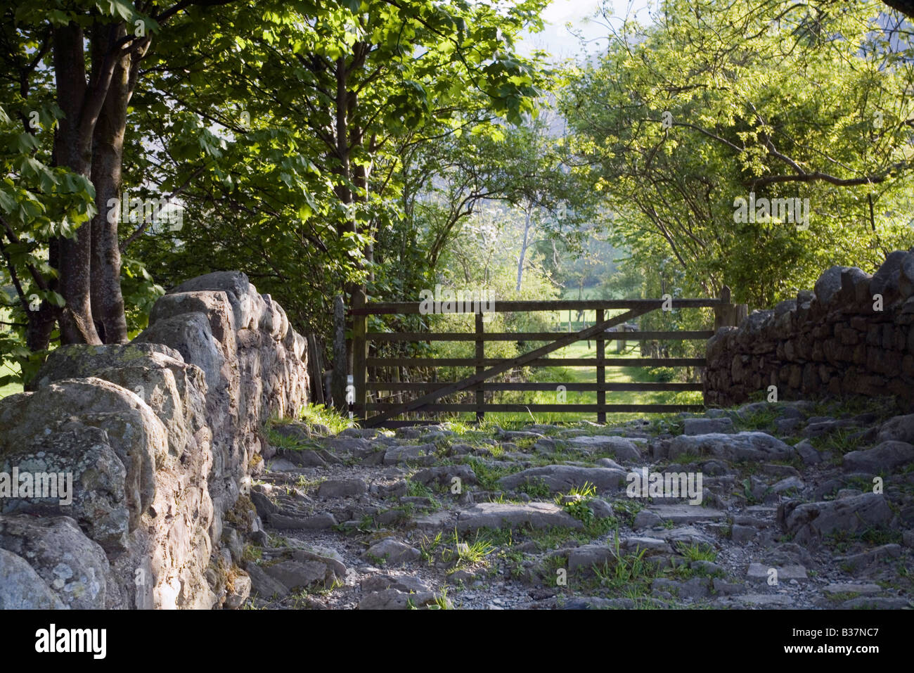 Gated Path Bridge over Newlands Beck and Valley footpath to Uzzicar ...