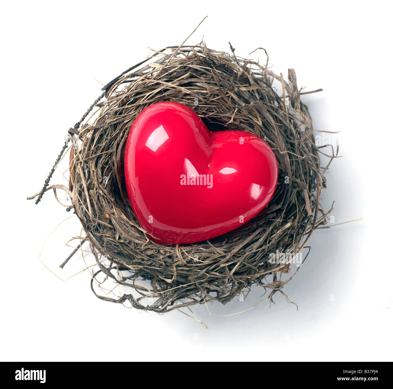 Birds nest in home Cut Out Stock Images & Pictures - Alamy