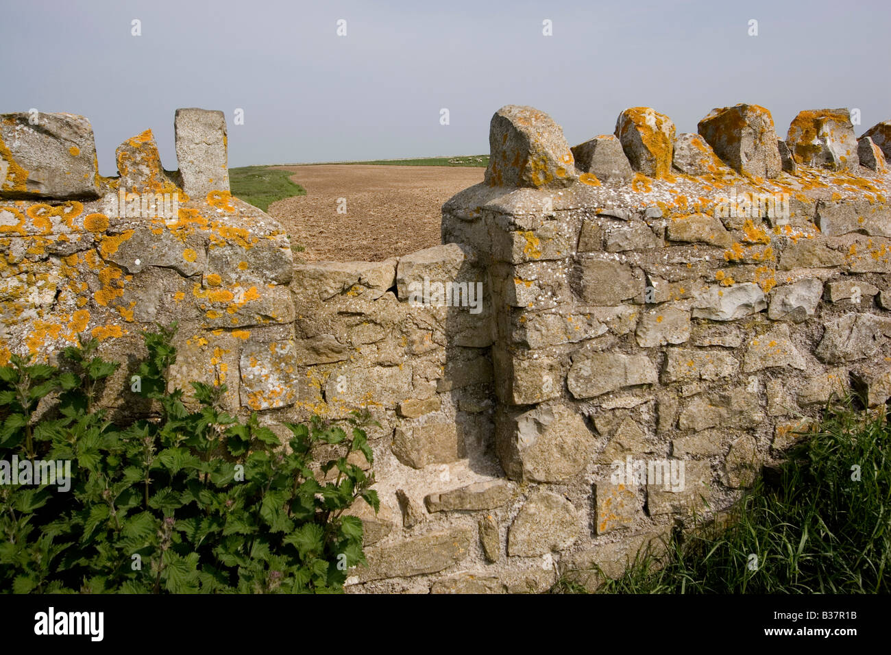 Stone farm uk hi-res stock photography and images - Alamy