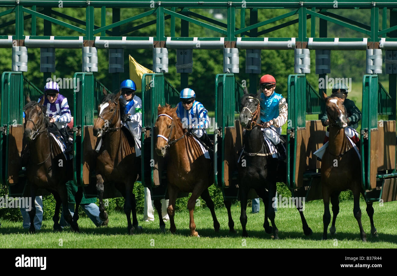 start of a horse race Stock Photo - Alamy