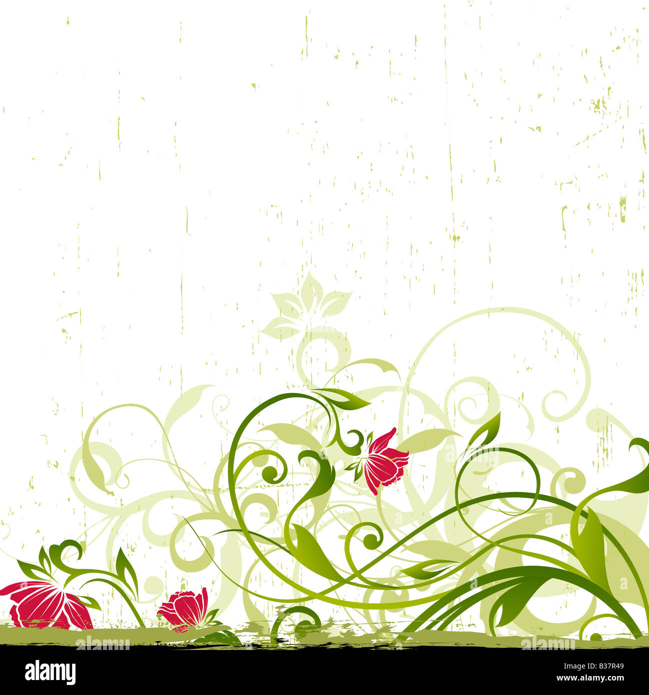 Floral drawing hi-res stock photography and images - Alamy