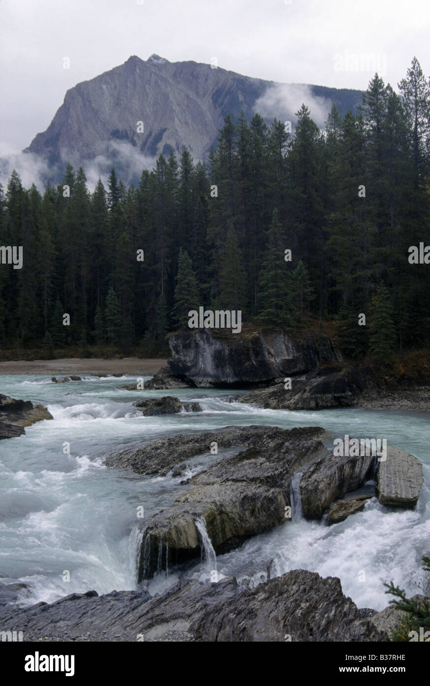 Mount Stephen Grey granite cliffs View from Kicking Horse river Rapids ...